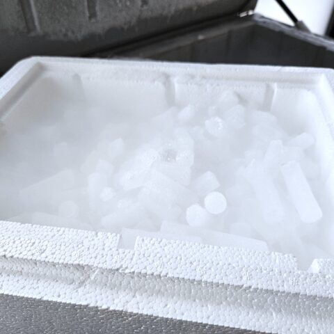 Discover Shipping lab samples in clinical trials: the role of dry ice ...