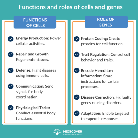 8 Advances in Cell and Gene Therapies you should know | Medicover MICS